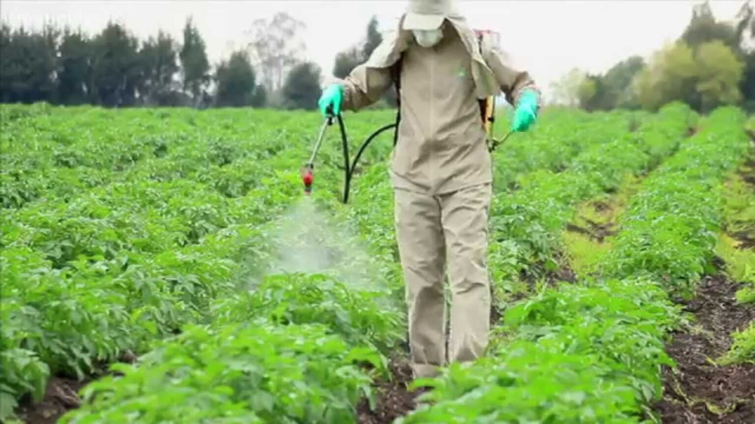 Tips for Using Agricultural Chemicals Effectively